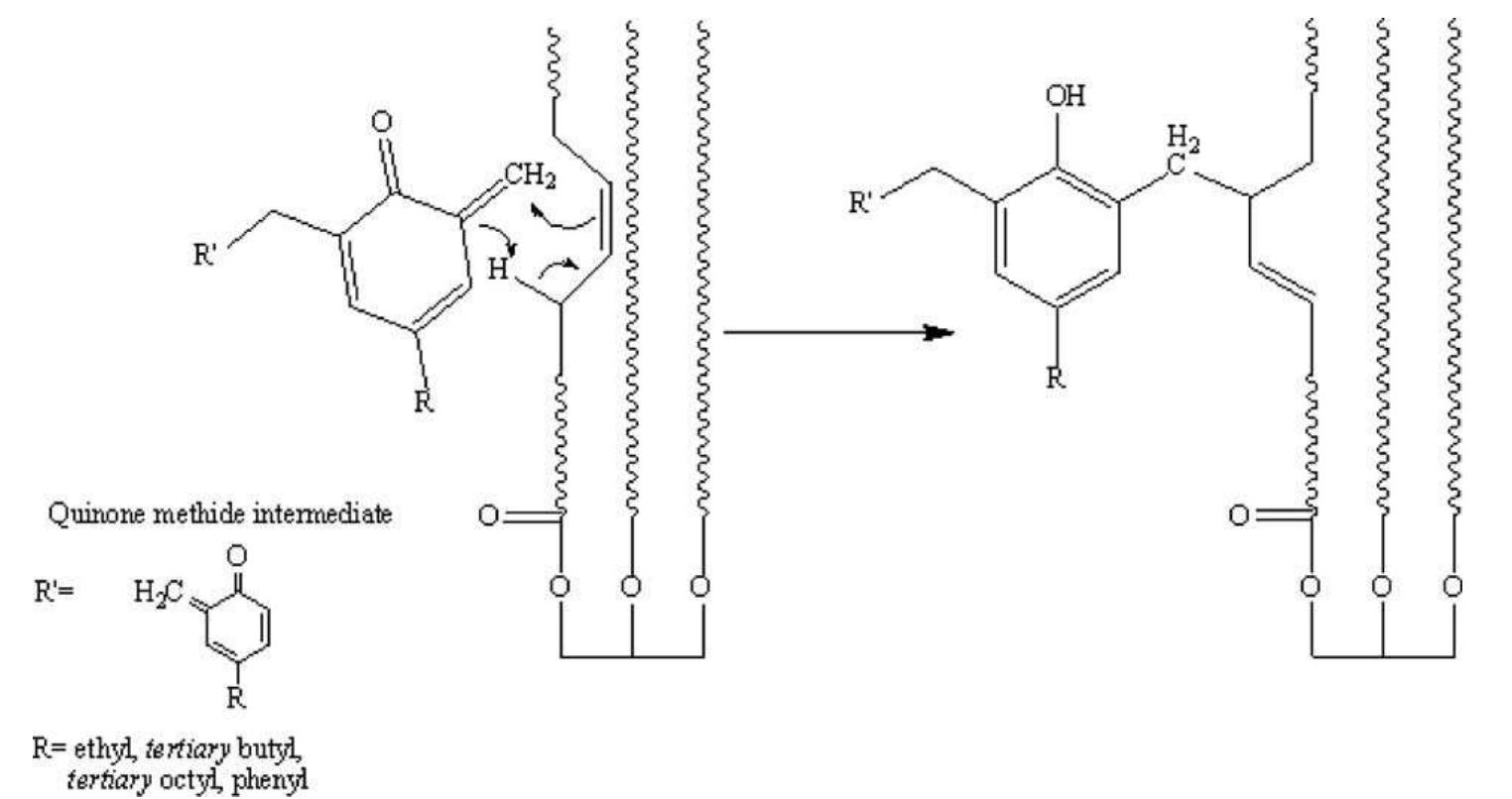Reaction of the quinone methide intermediate with double