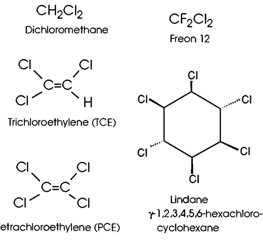 Figure 27 - Principles of Bioremediation