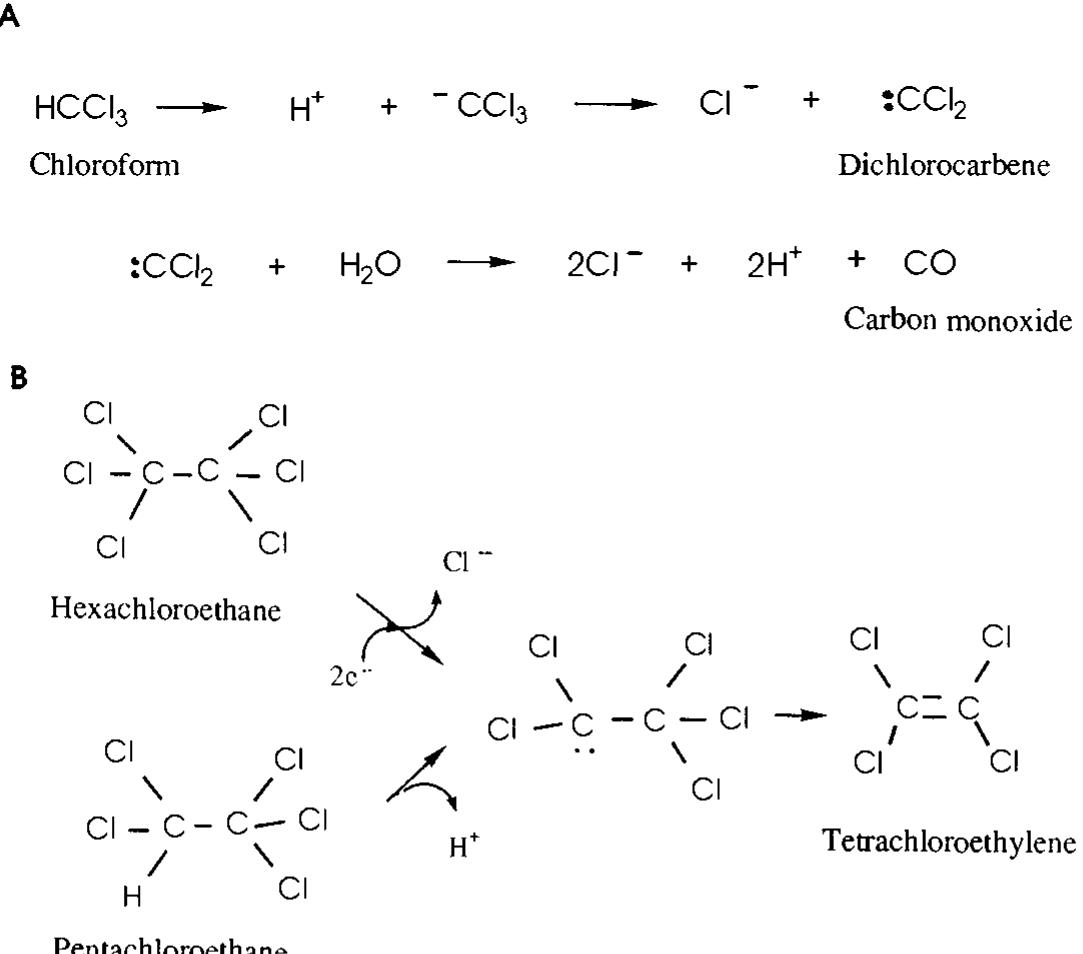 3. elimination reactions of importance in the transformation