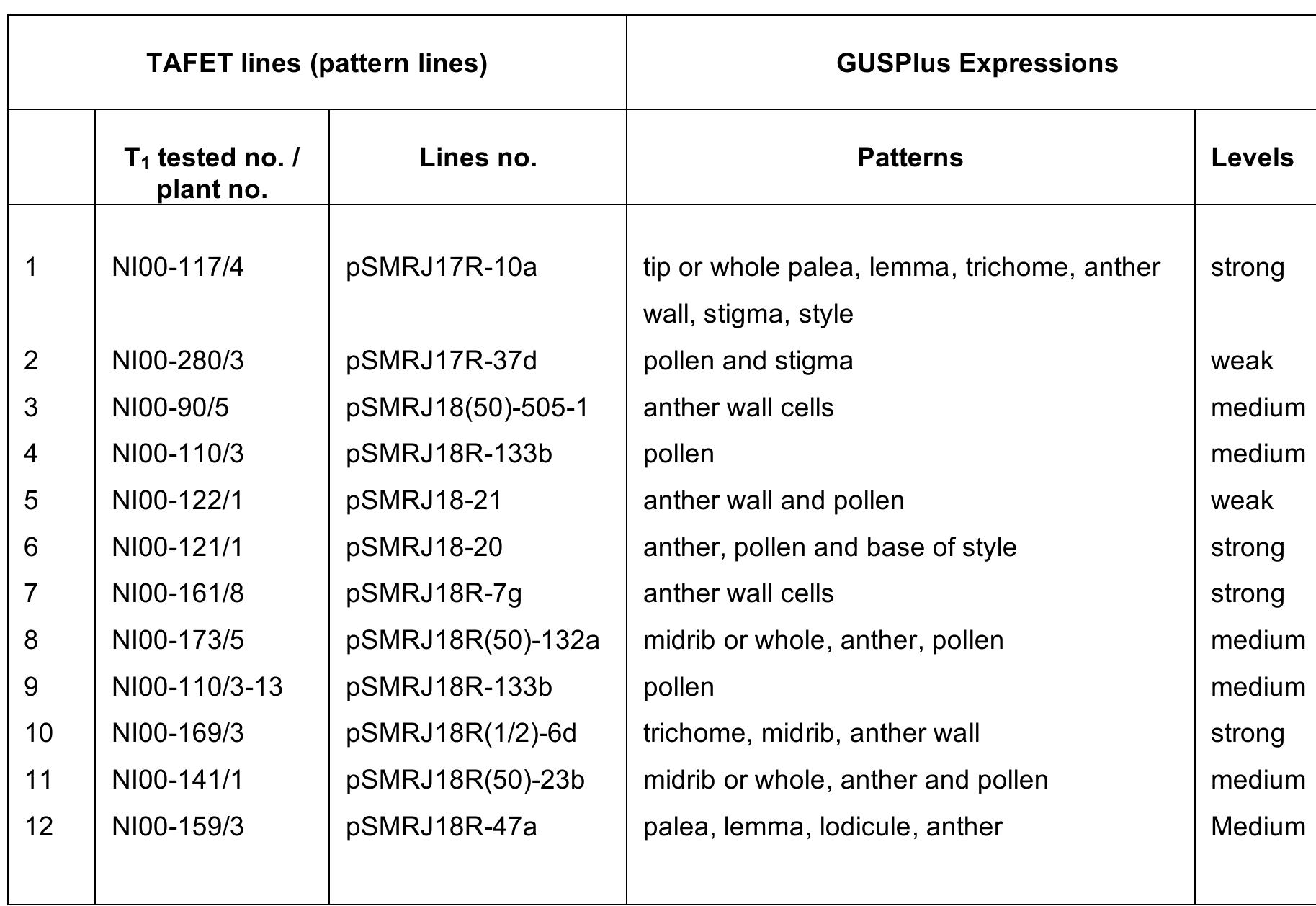 2 tafet lines (t, plants) used in crossing experiments ans