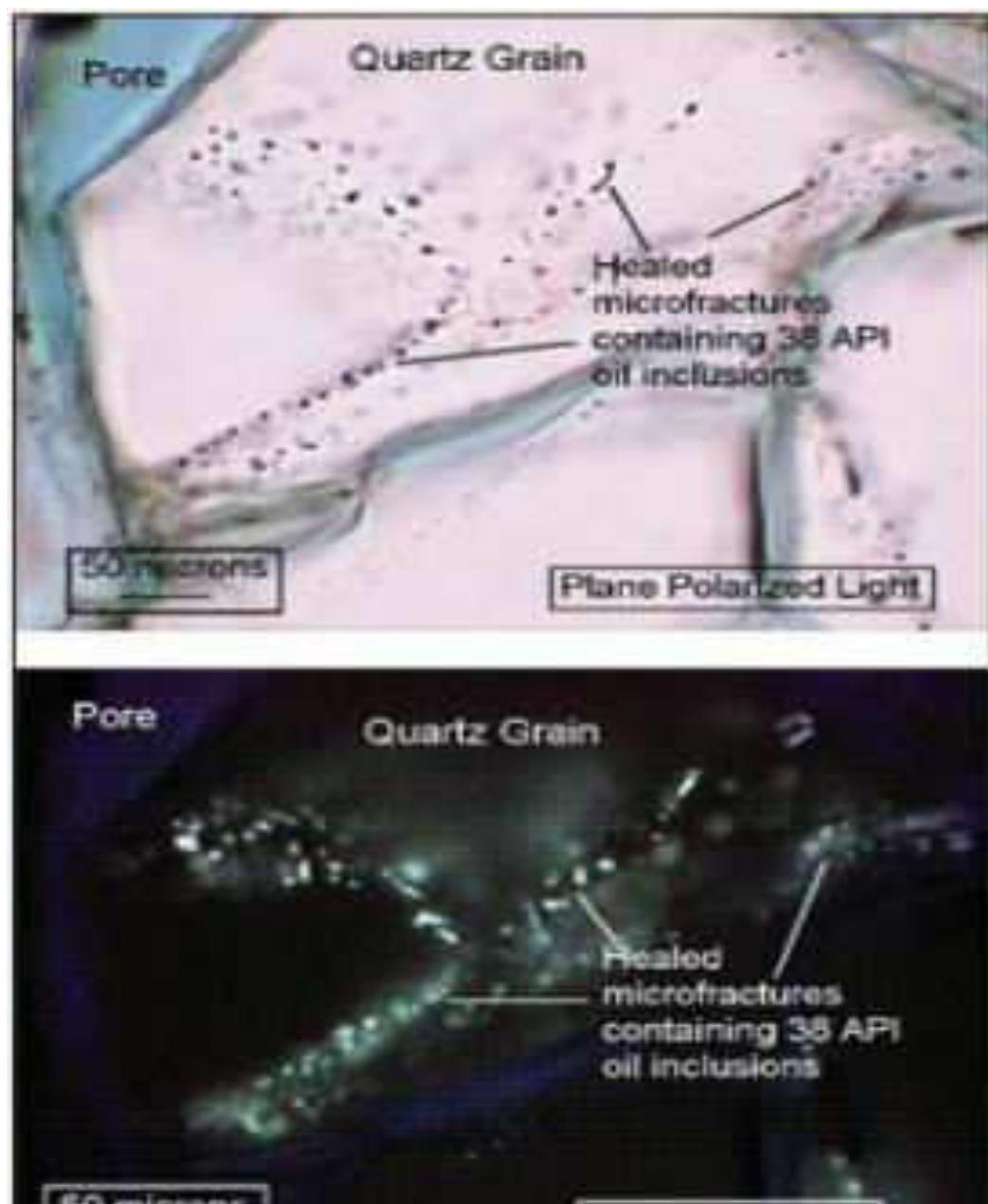 Figure 4 - PRESENTATION FLUID INCLUSION - pdf