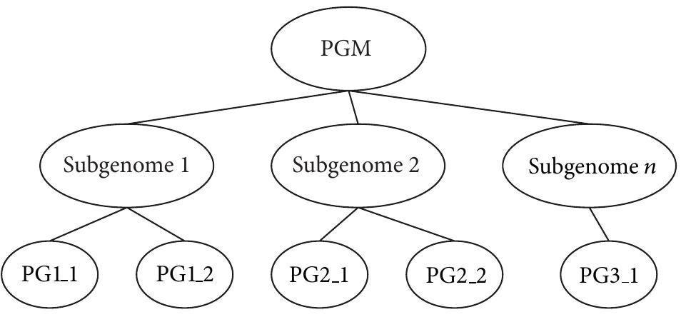 E 3: genome tree structure.