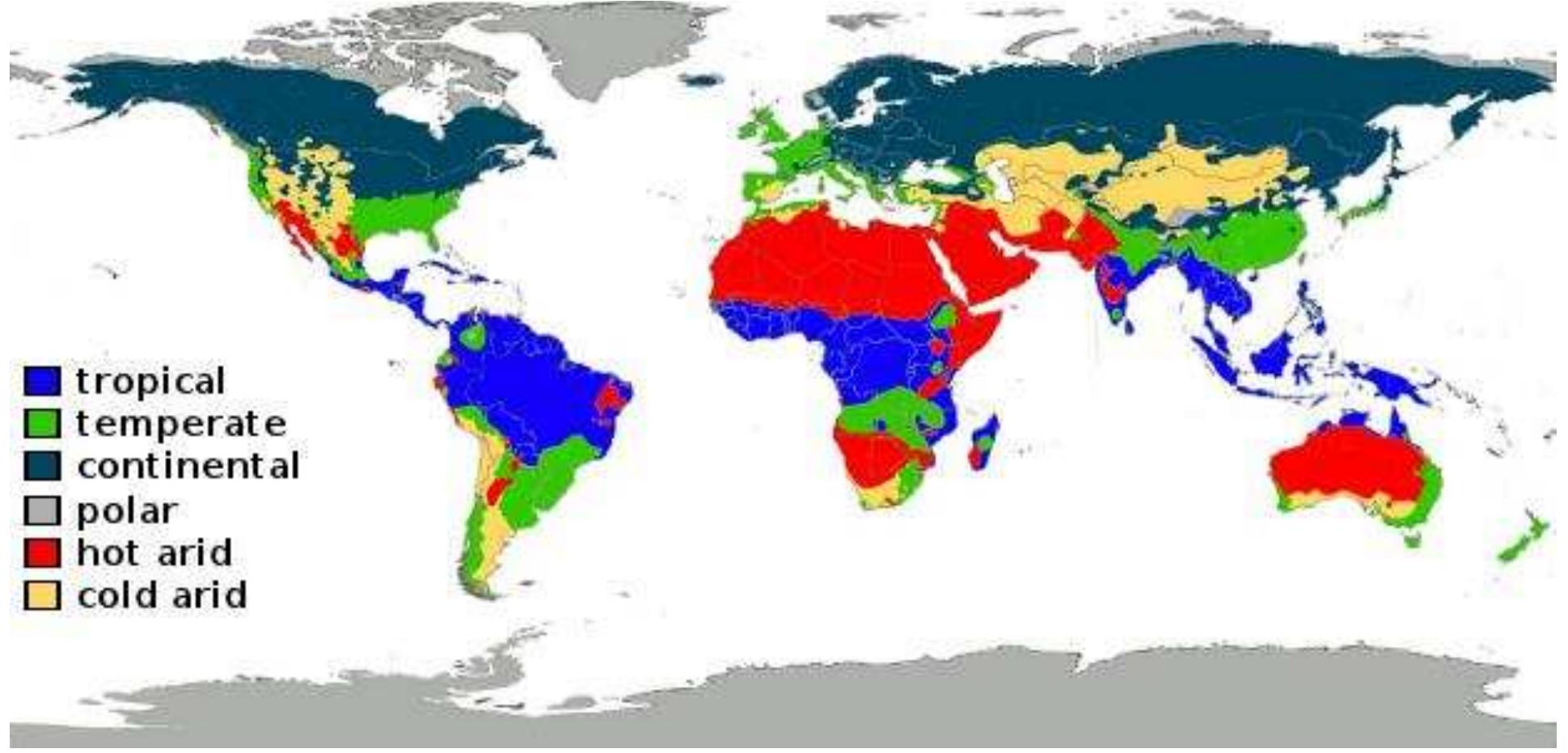 (PDF) Energy Performance of Courtyard and Atrium in Different Climates