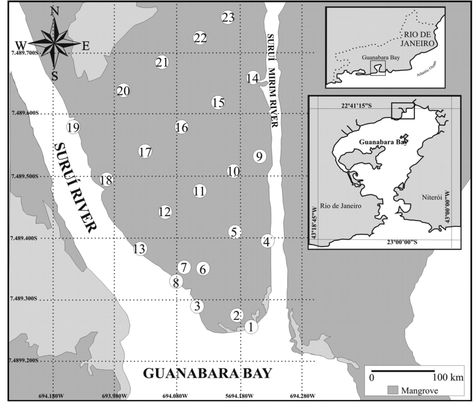 surui mangrove (sampling grid).