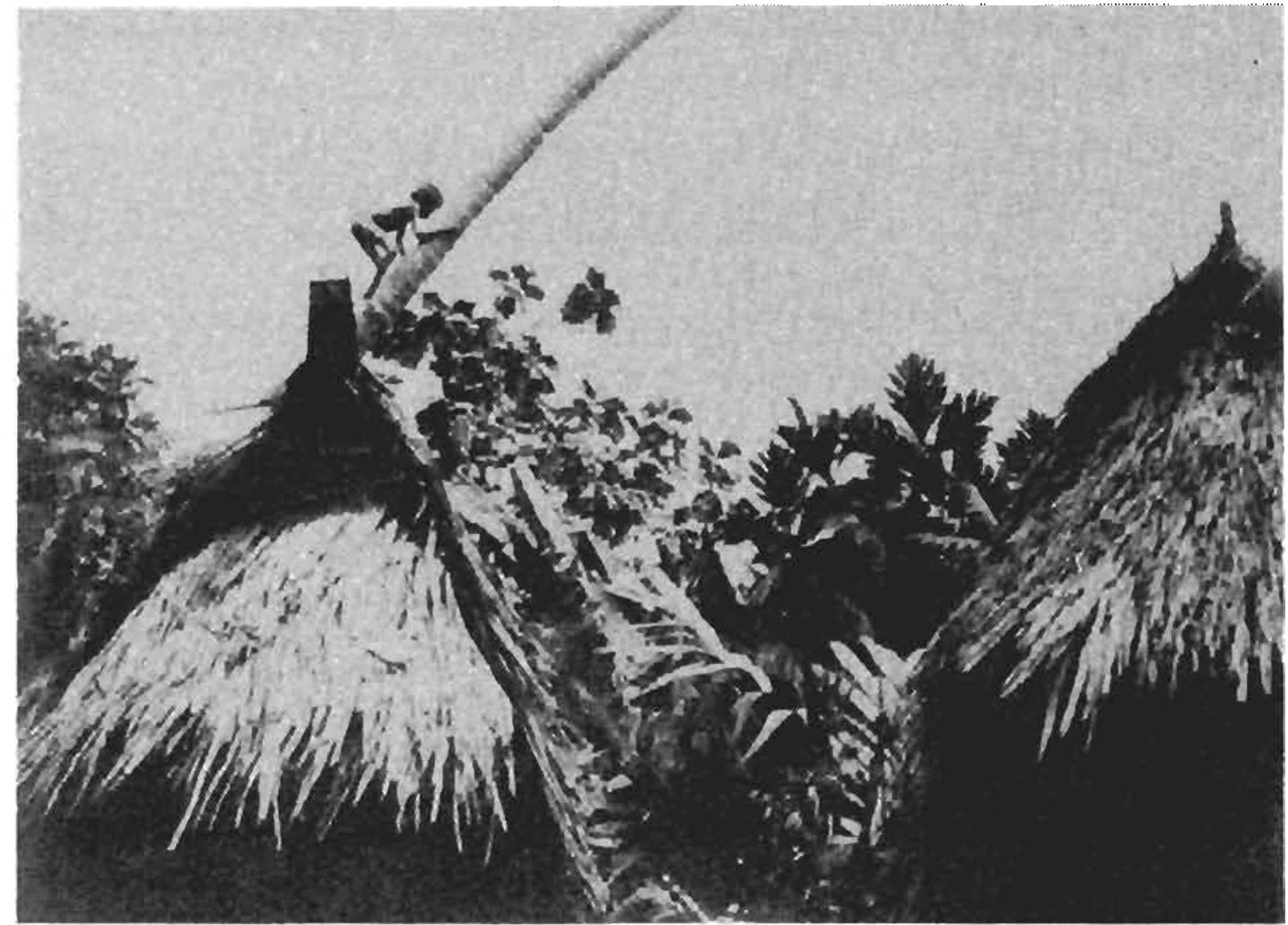 Figure 12 - The Fieldwork Photographs of Jenness and