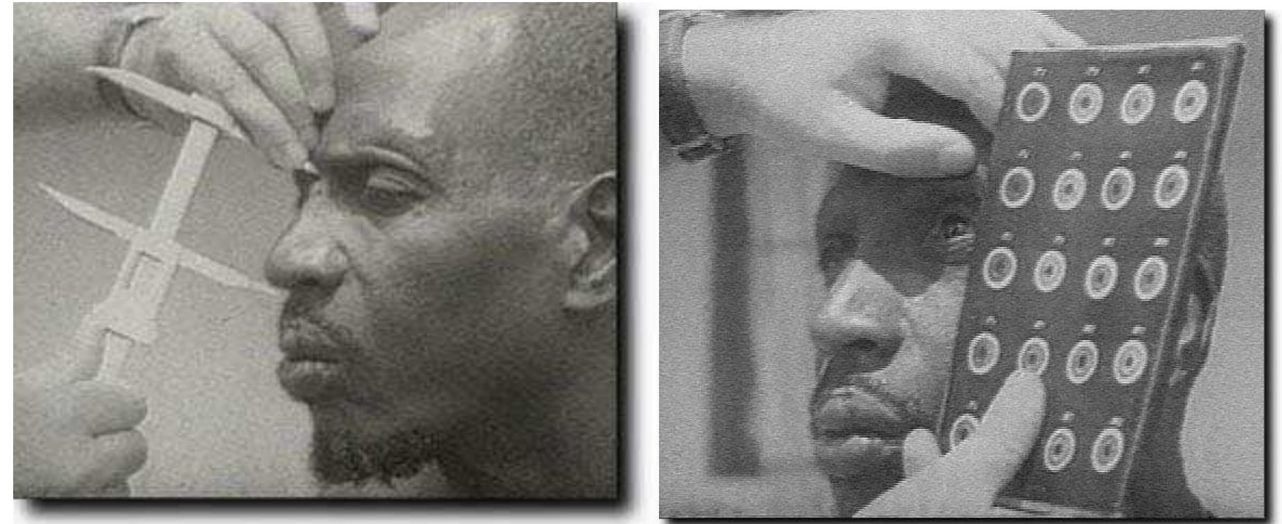 (PDF) GROUP ONE : THE HUTUS AND TUTSIS