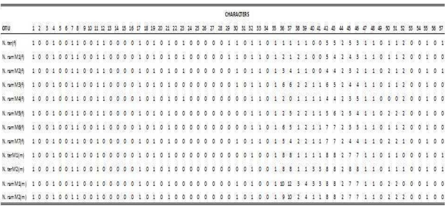 The character data matrix for phenetic analysis 3. geometric
