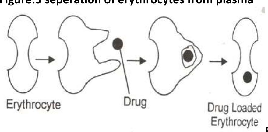 Figure 3 - from Carrier Mediated Target Drug Delivery