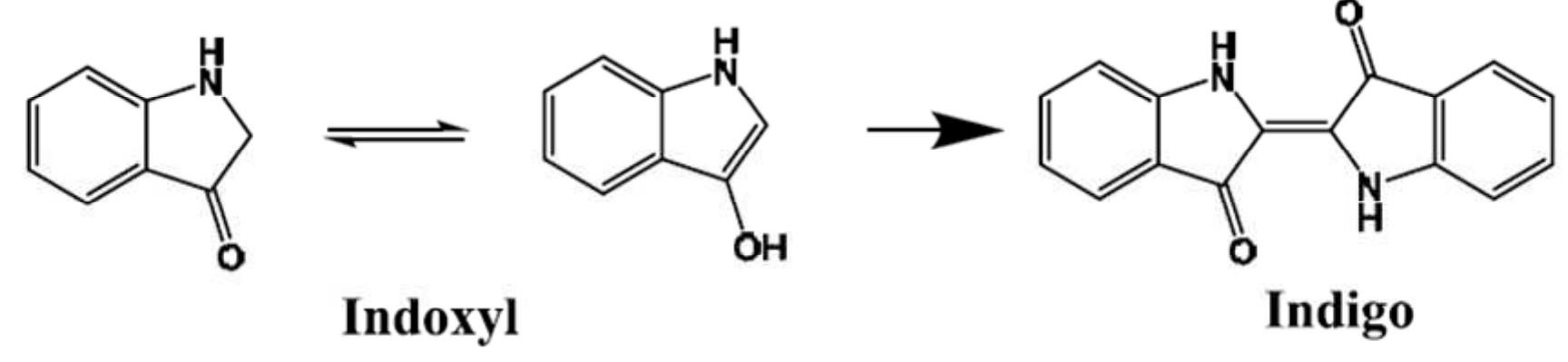 The molecular formulas of indoxyl and indigo. scheme 1. the