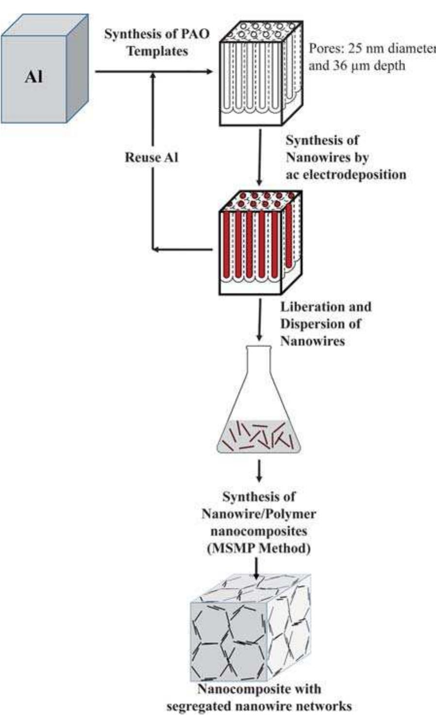 Schematic illustration of the synthesis of metal