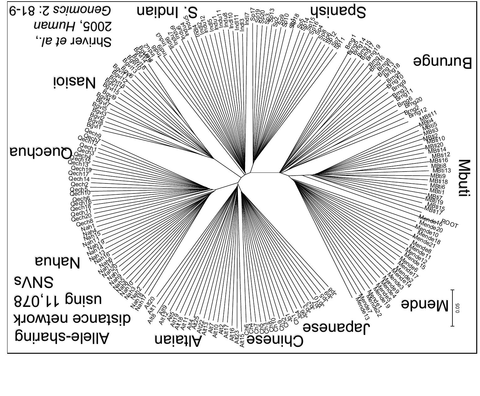 Figure 47 - Introduction to Population Genetics
