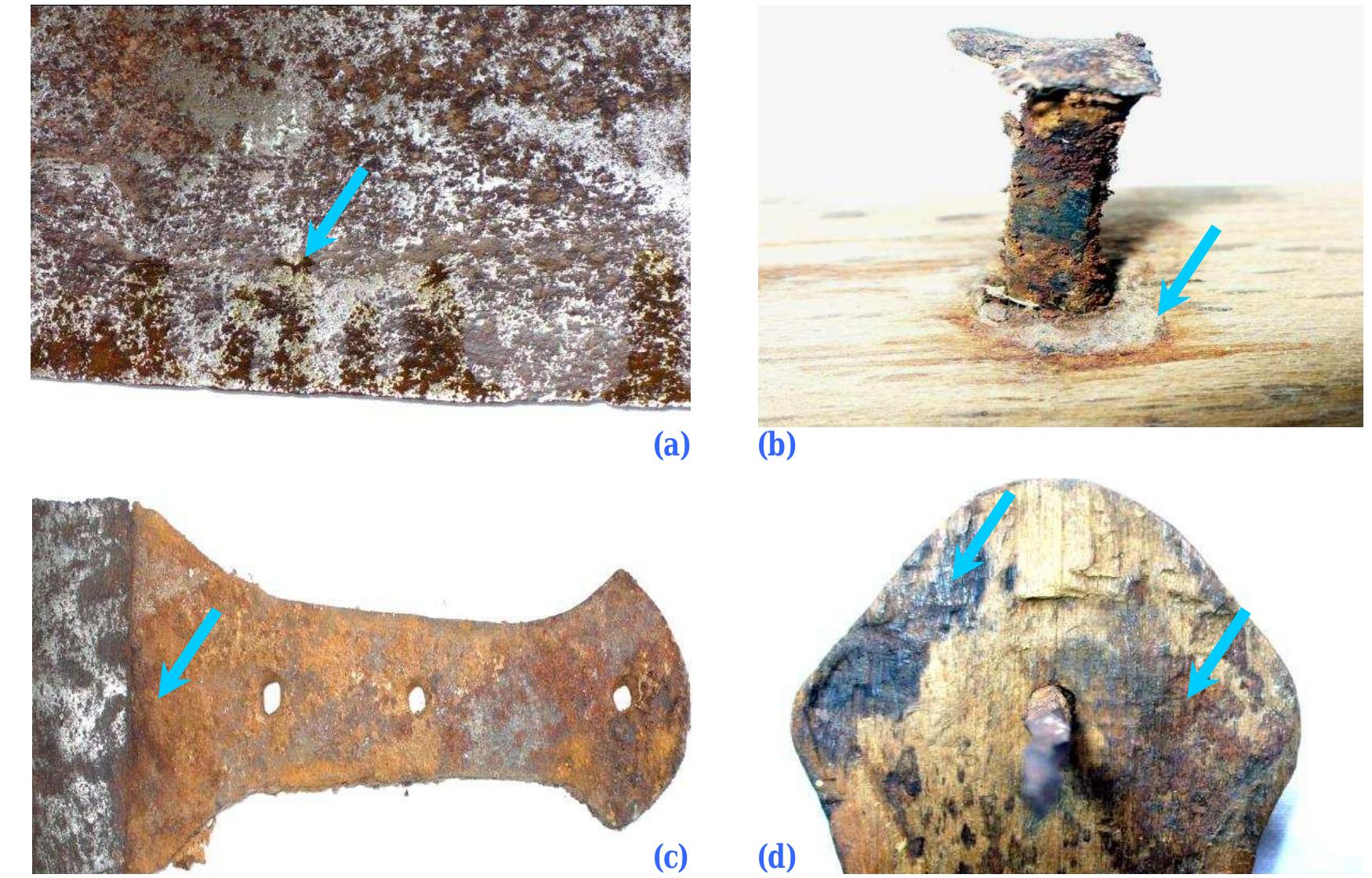 (2) shows the sword during treatment; a- outputs of iron