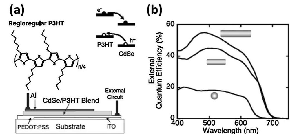 (a) schematic device structure consisting of p3ht and