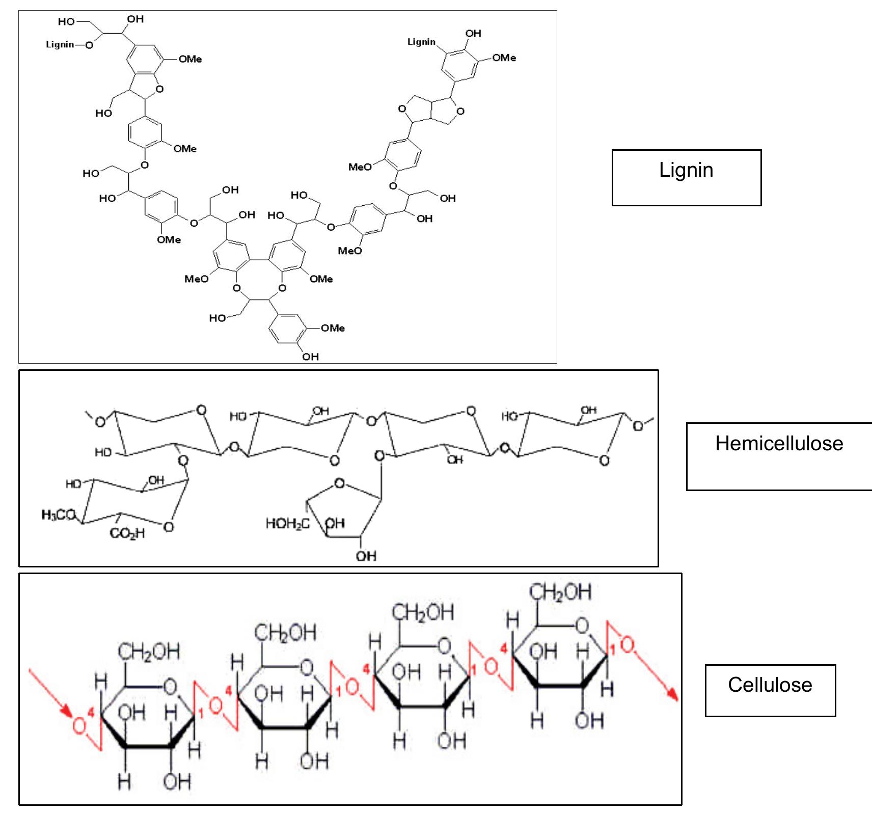 21 basic structures of lignocellulose components: lignin,