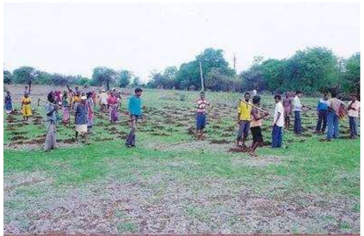 (PDF) A PROJECT REPORT ON CORPORATE SOCIAL RESPONSIBILITY ON AMUL ...