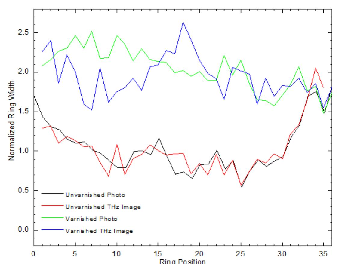 Iv.16: comparison of mean tree-ring series of a photograph
