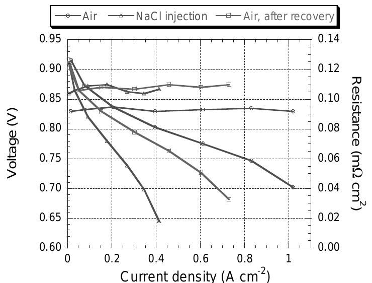 Ir-corrected polarization curves before, during and after