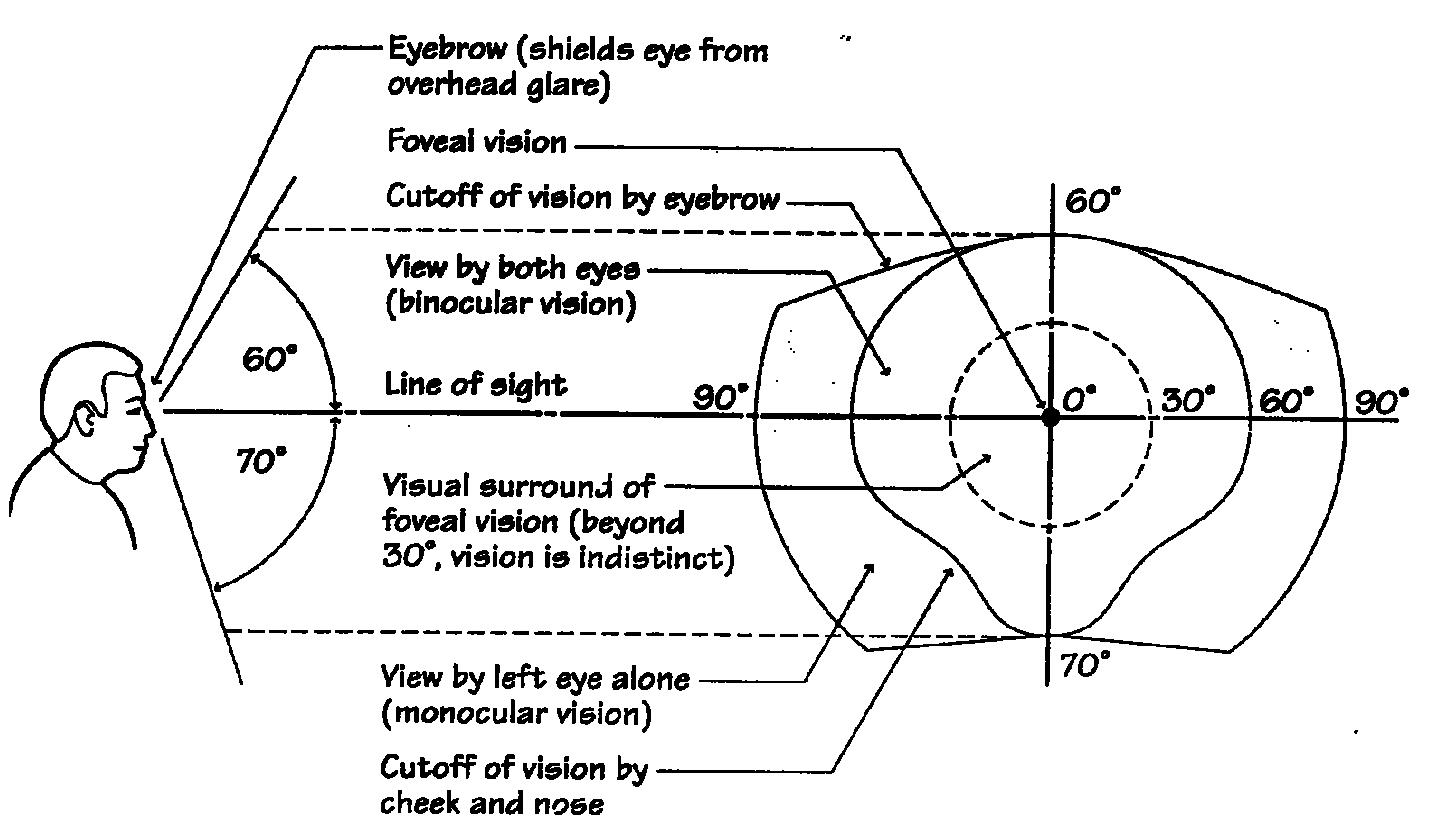 , human visual light (section and plane). source: (egan, m.