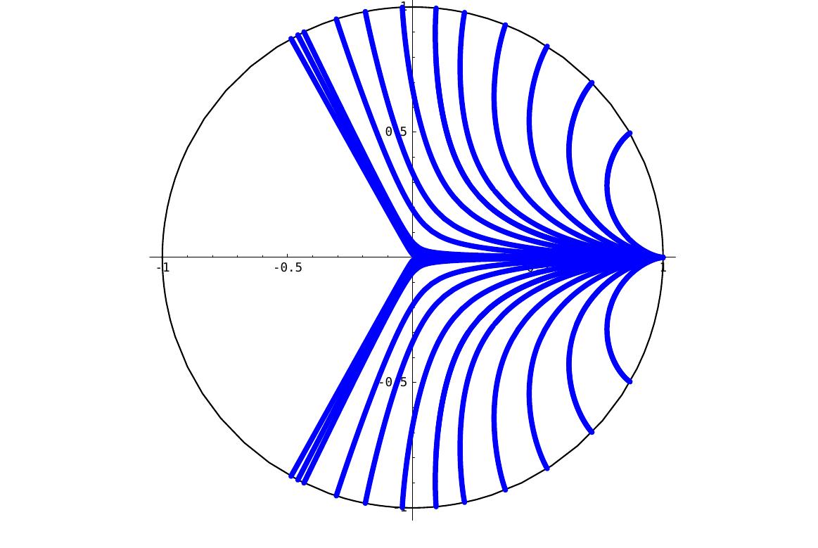 Solution curves for the inverse square field (n = 1)