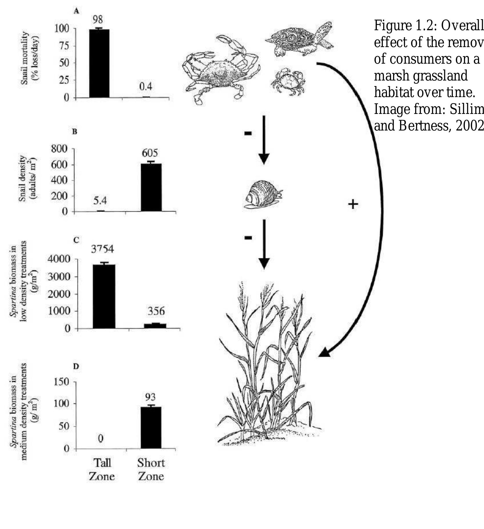 Figure 2 - PREDATION BEHAVIOR OF OCTOPUS JOUBINI CUVIER