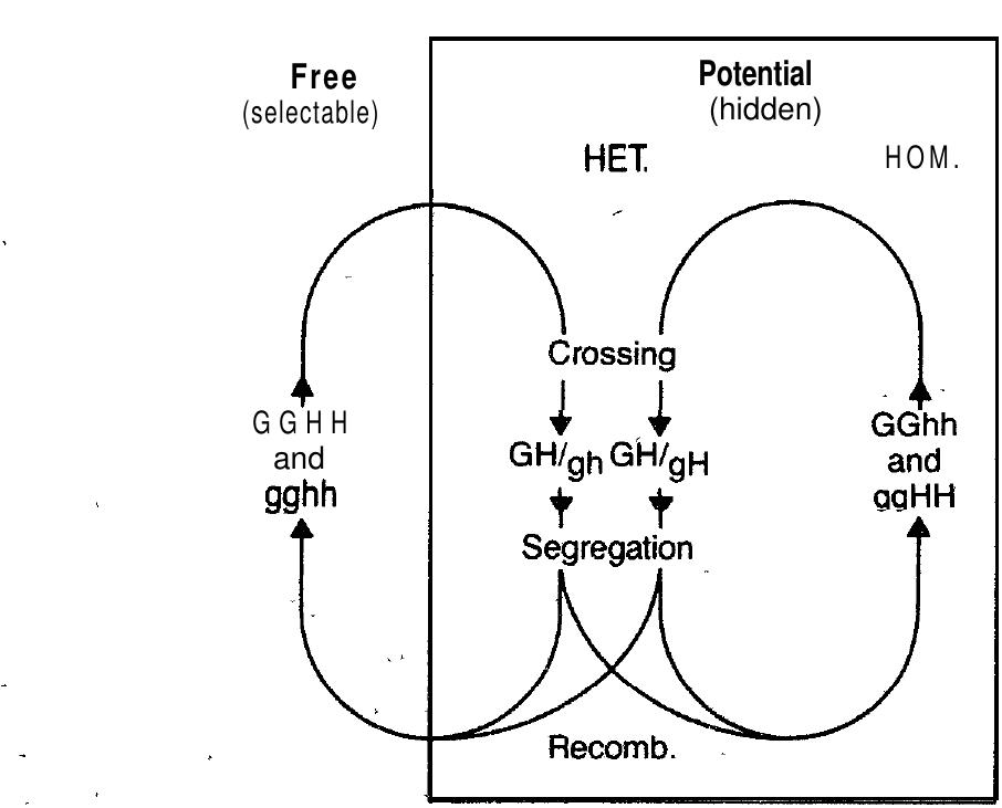 B. the states of variability in a system where the g and h