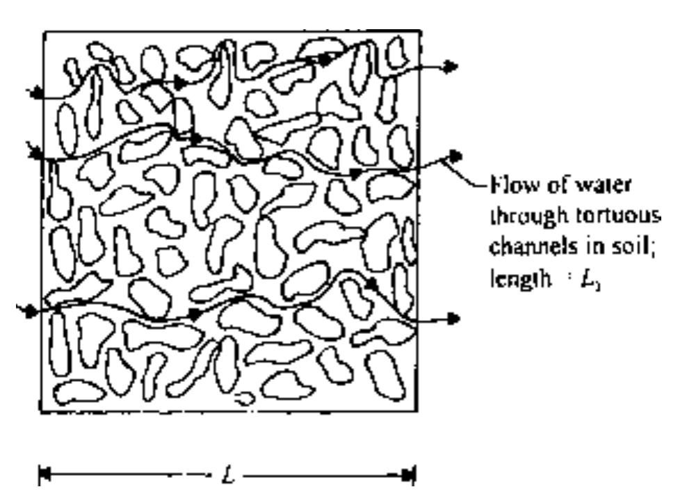 6 flow of water through tortuous channels in soil. the
