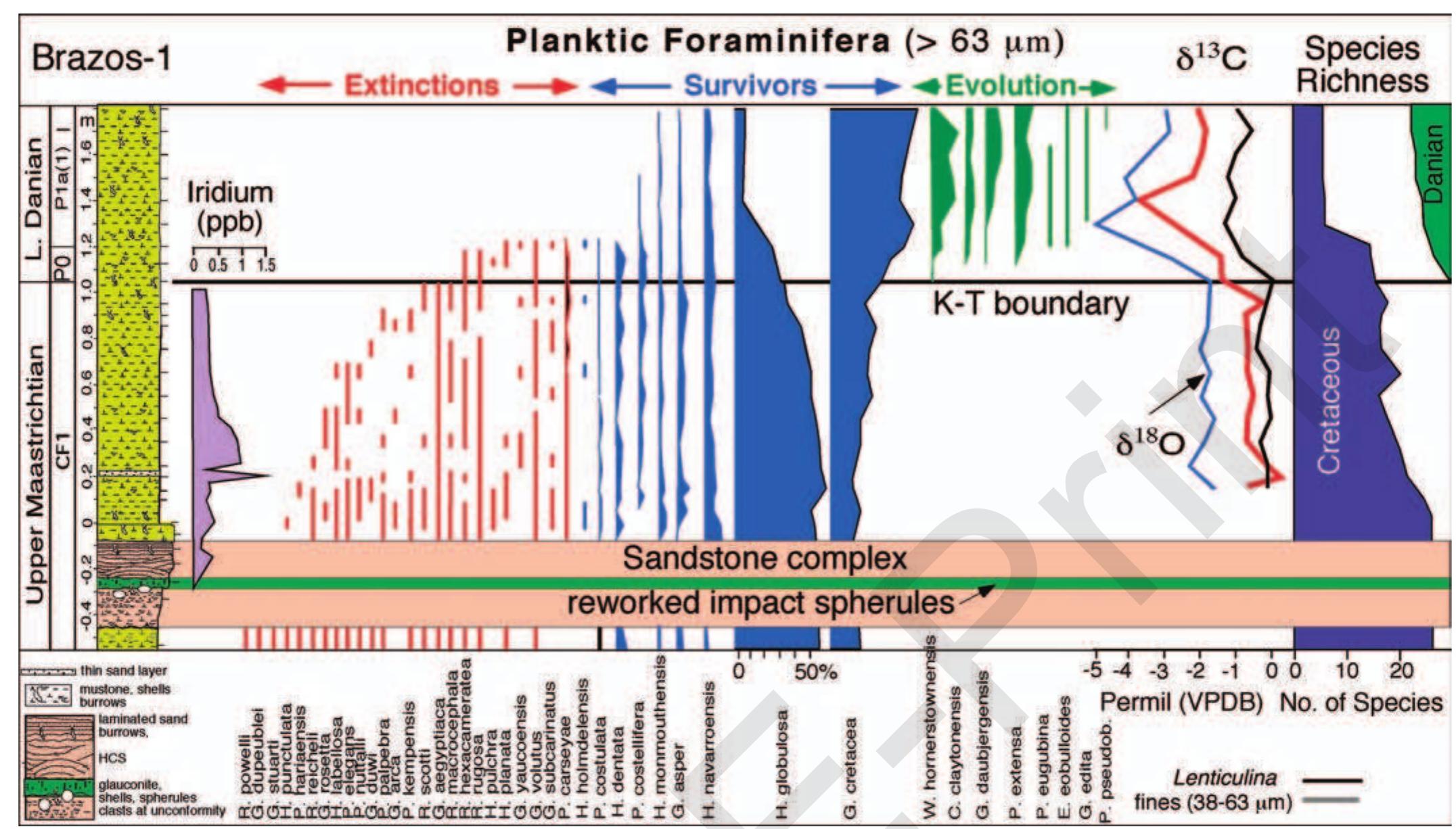 Ficure 13.—disappearances of cretaceous species, evolution