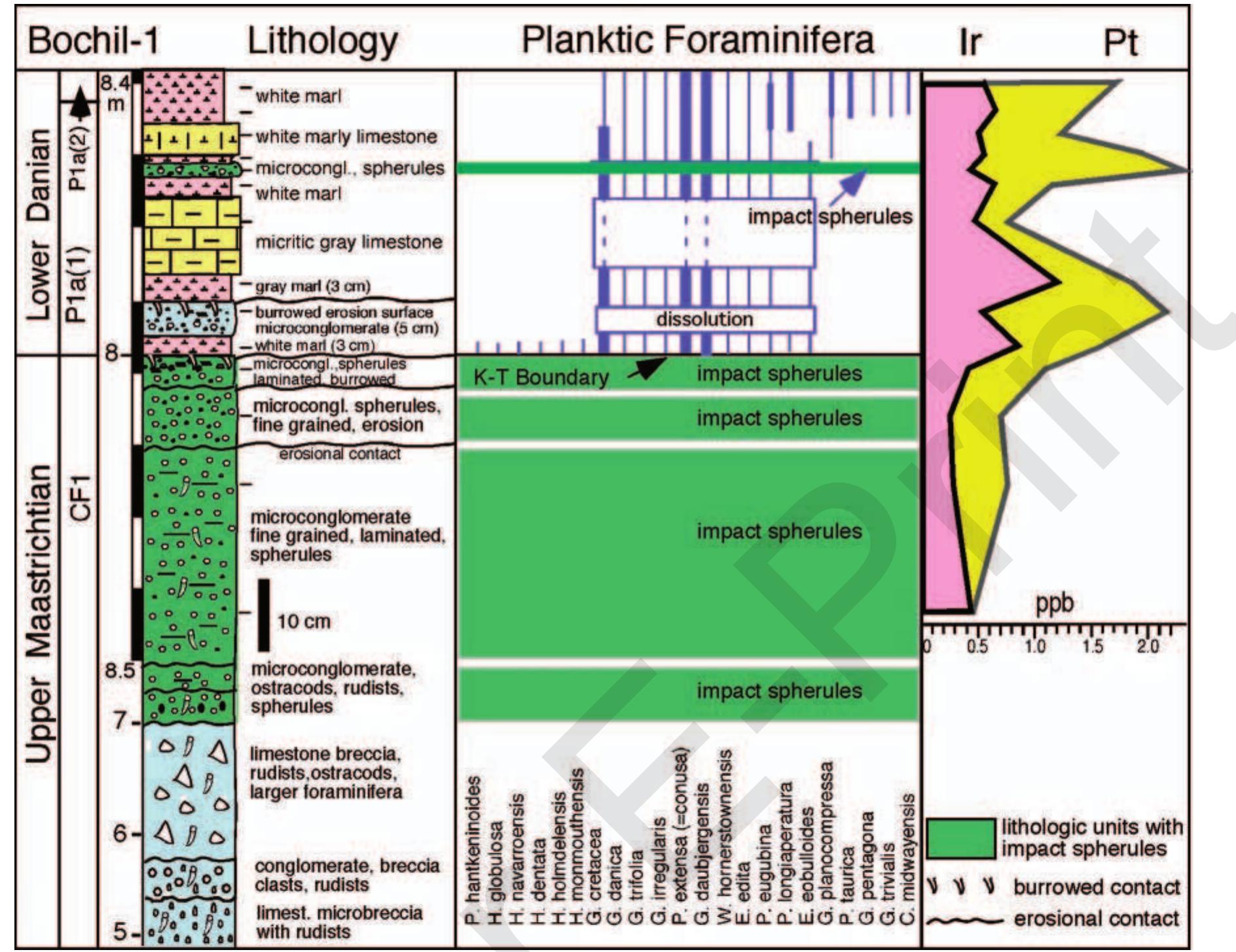 —detailed stratigraphy of the upper maastrichtian