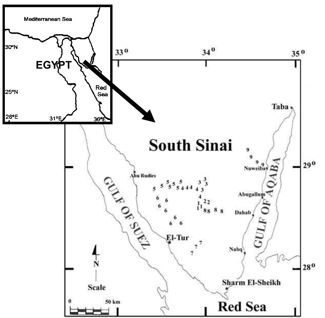 (1): location map of southern sinai showing nine studied