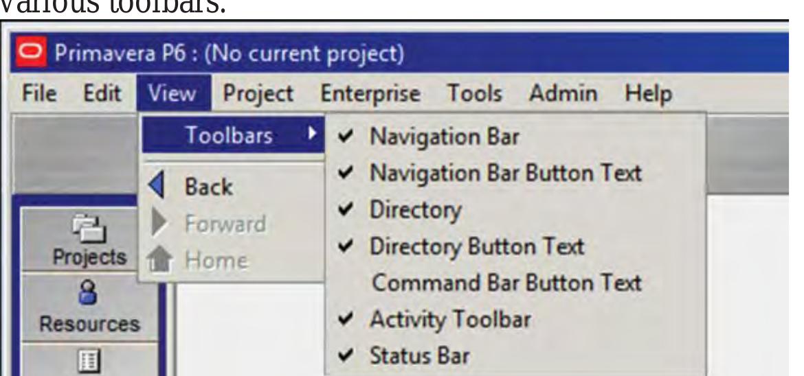 (PDF) Project Scheduling with Primavera P6 Training Manual