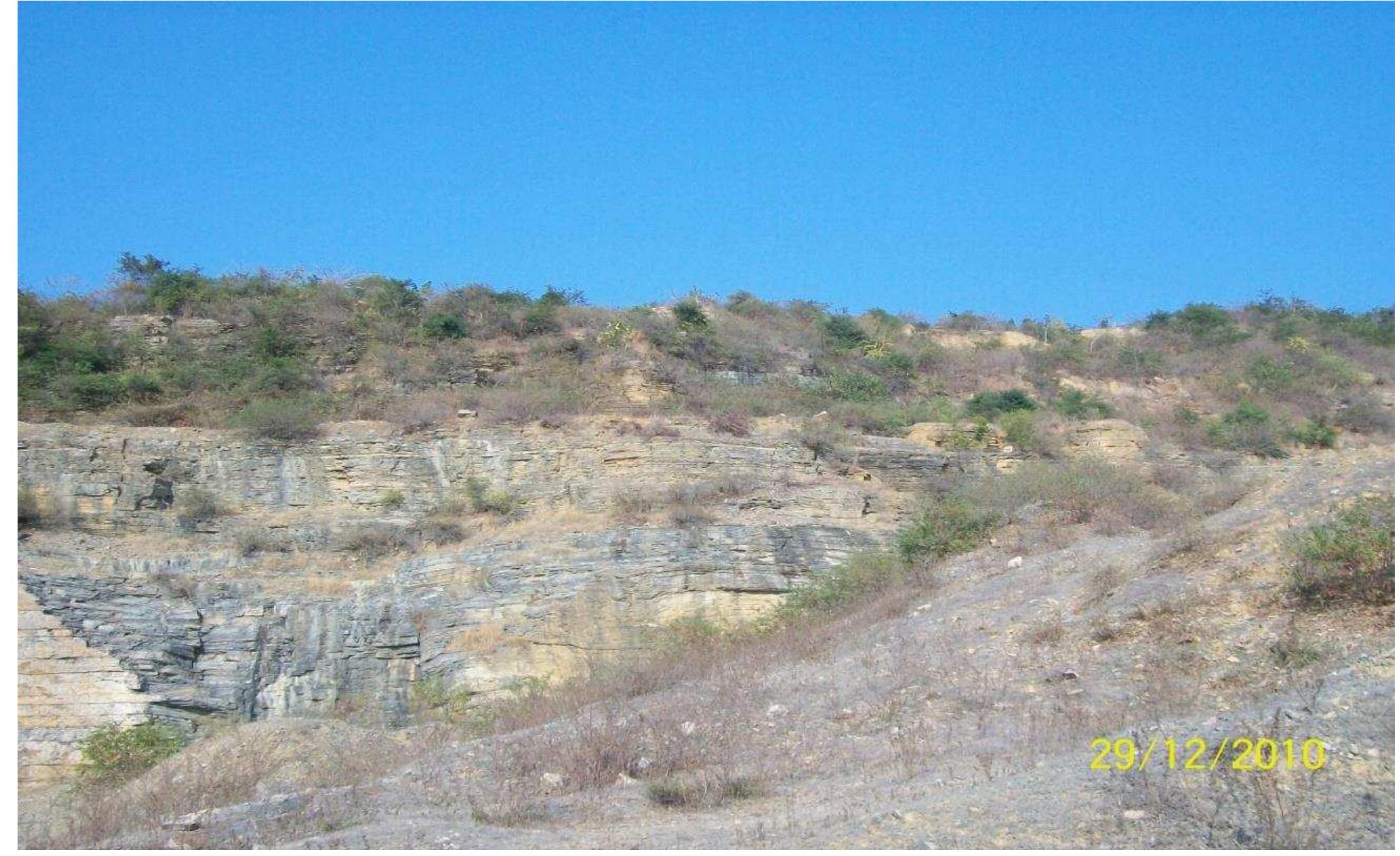 5 limestone and shale beds lithology and structure