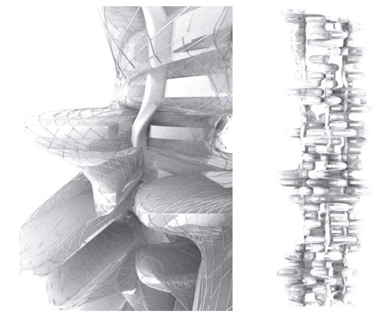Figure 47 - Algorithmic+Architecture
