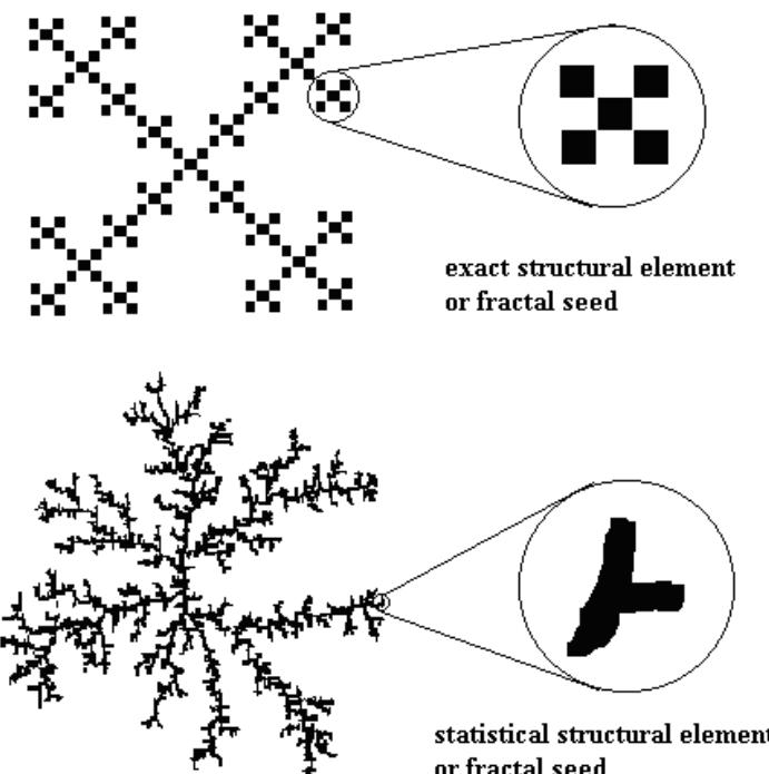 Example of branching fractals, showing the structural