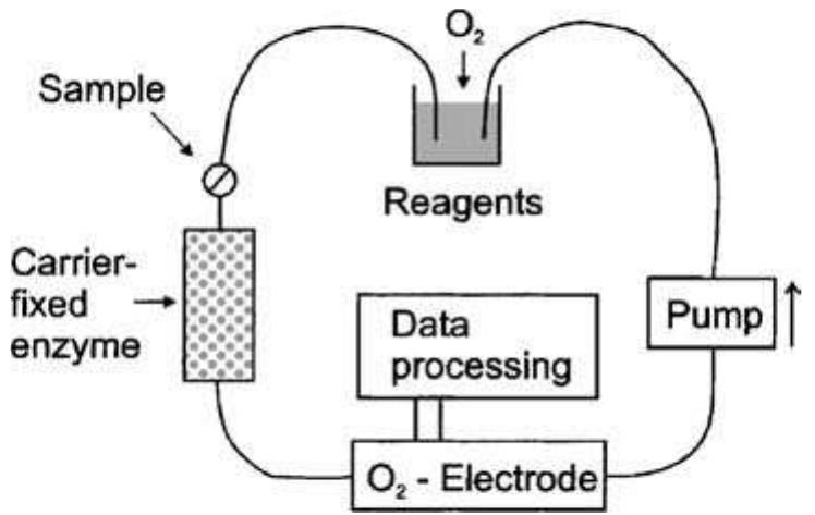 10. diagram of a closed enzyme reactor system. the