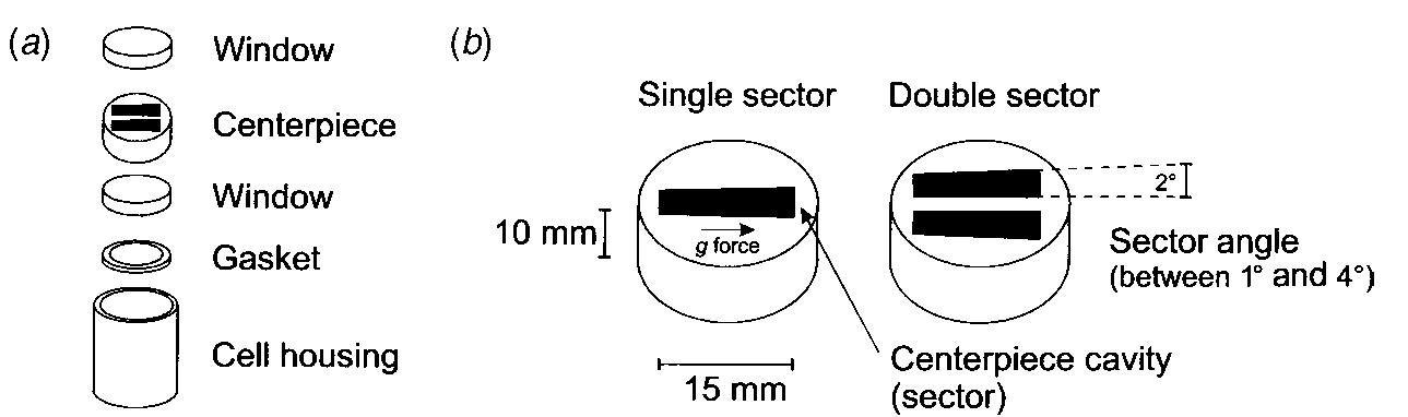 9. basic components of typical single- and double-sector