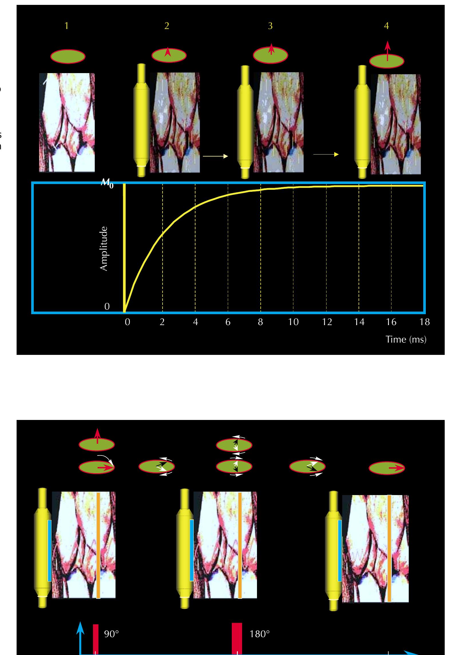 (PDF) NMR+Logging+Principles+and+Applications