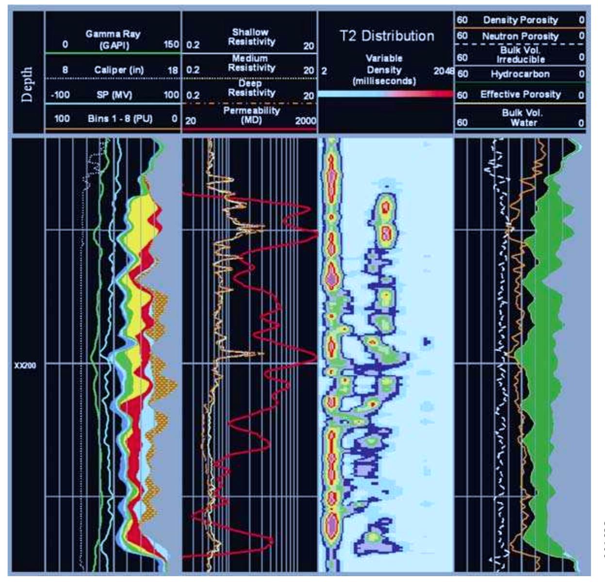 Figure 107 - NMR+Logging+Principles+and+Applications