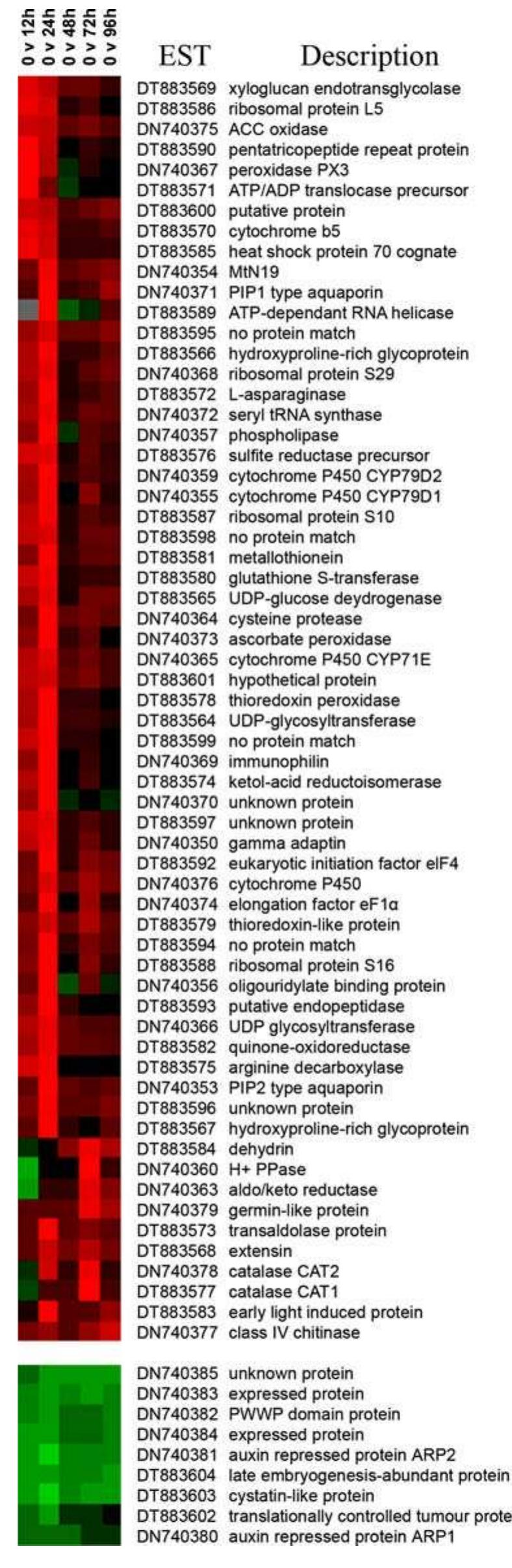 Heat map showing the expression profile of 72 non- redundant
