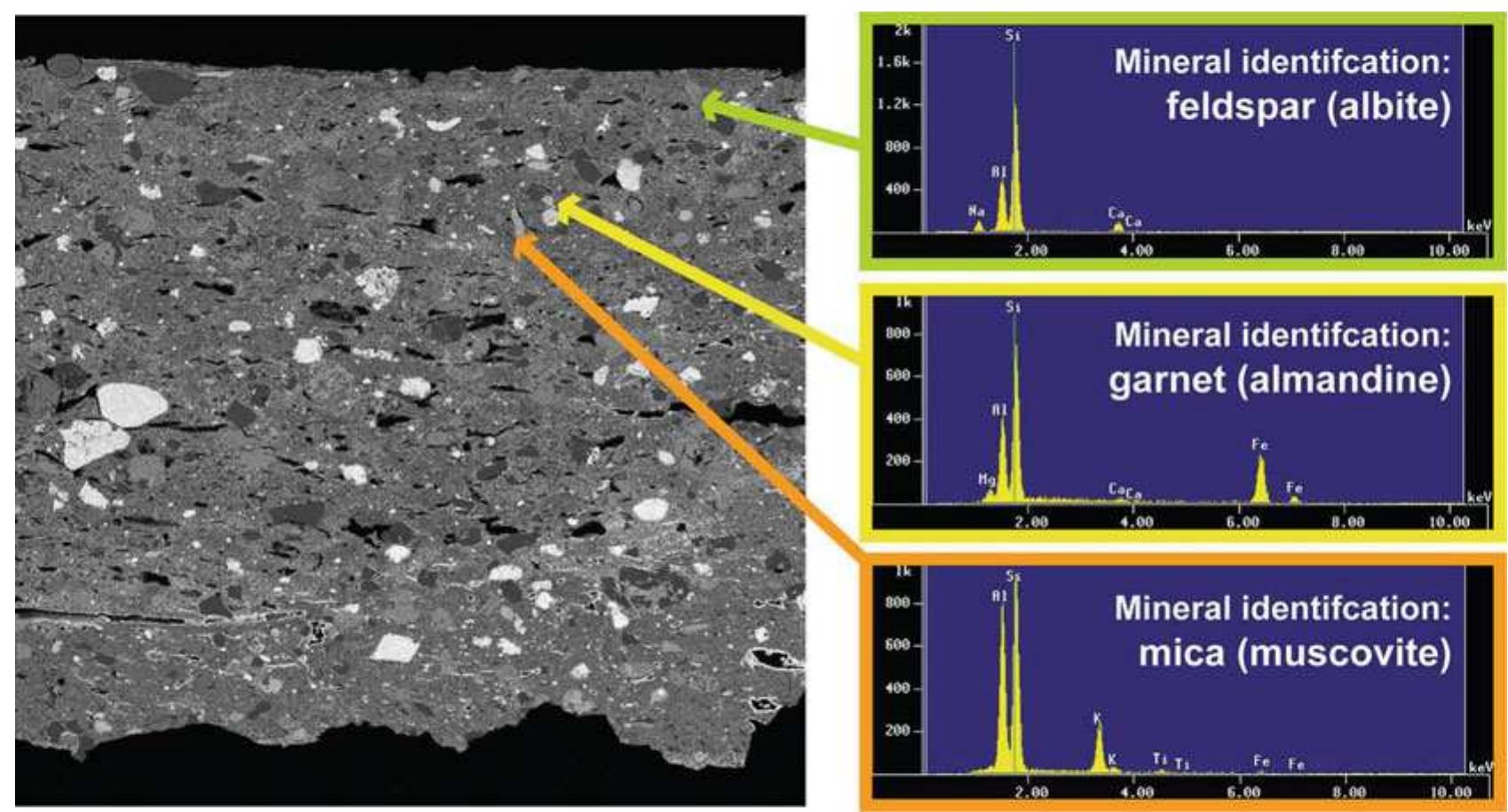 Scanning electron microscopy (sem): applications in