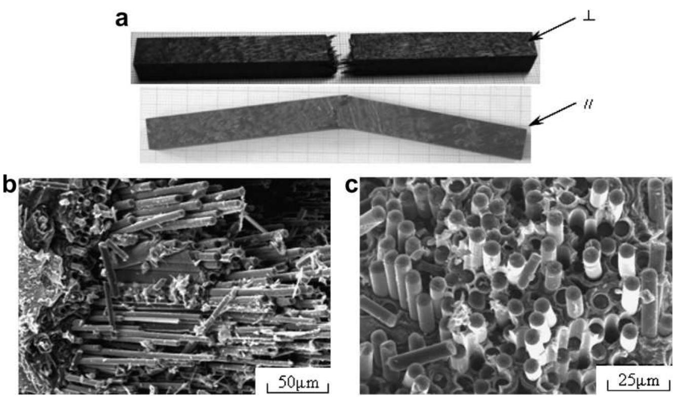 Typical fracture morphology of c/sic impact-toughness: (a)
