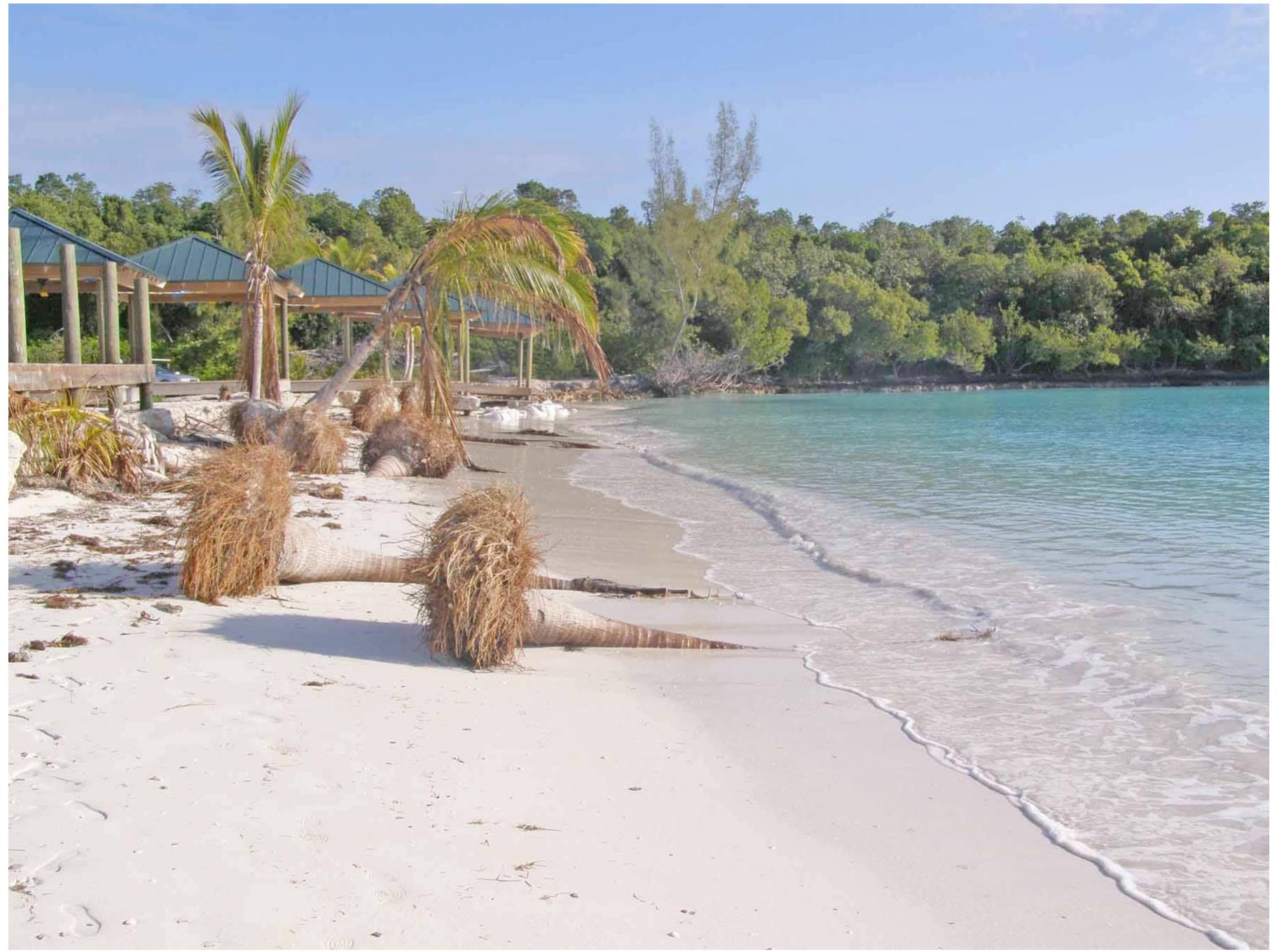 Collapsed trees and undermined structures illustrate