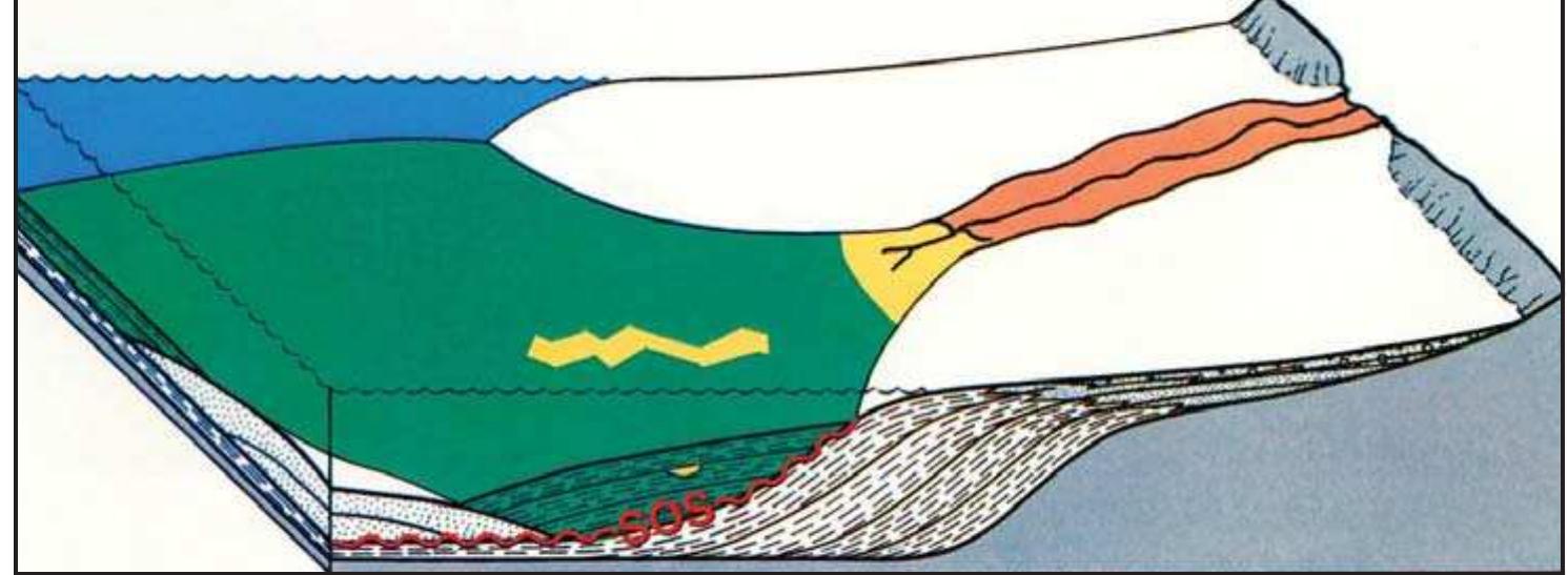 8. this schematic diagram, modified from figure 3 of