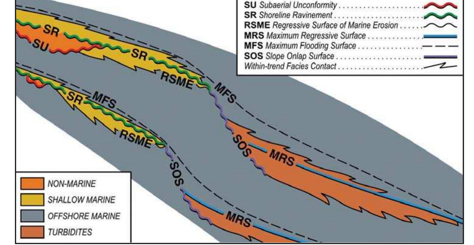 7. a schematic cross section for a shelf / slope / basin