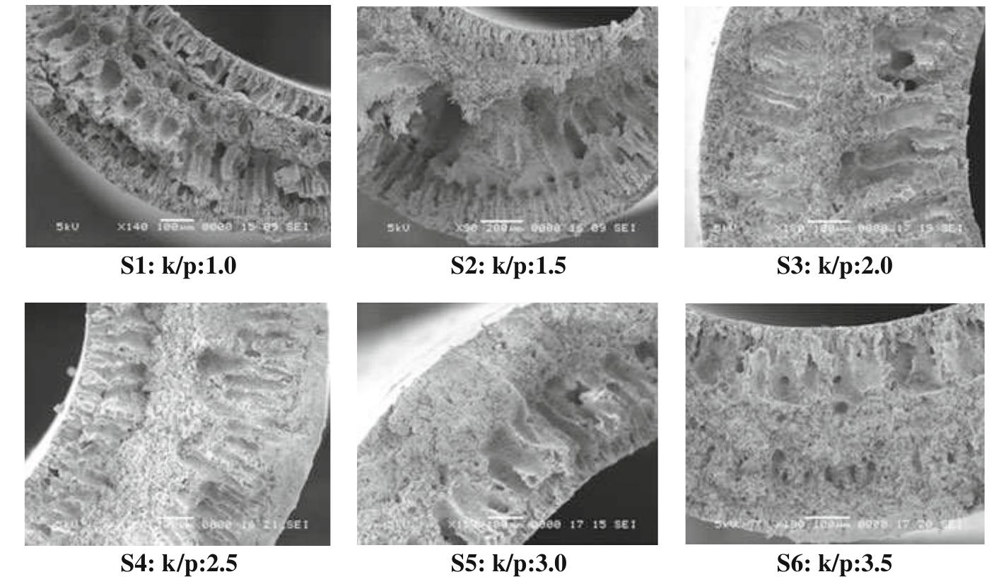 Sem images of the cross section of kaolin hollow tubes at