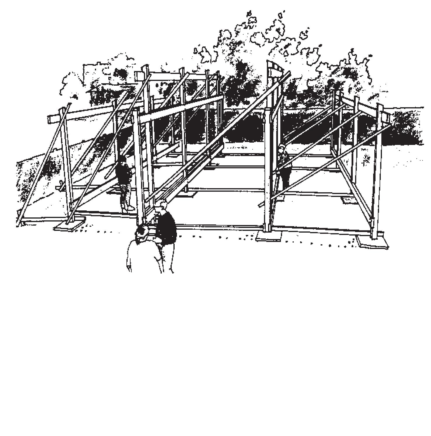 Frame raising: frames are raised and braced rigidly together