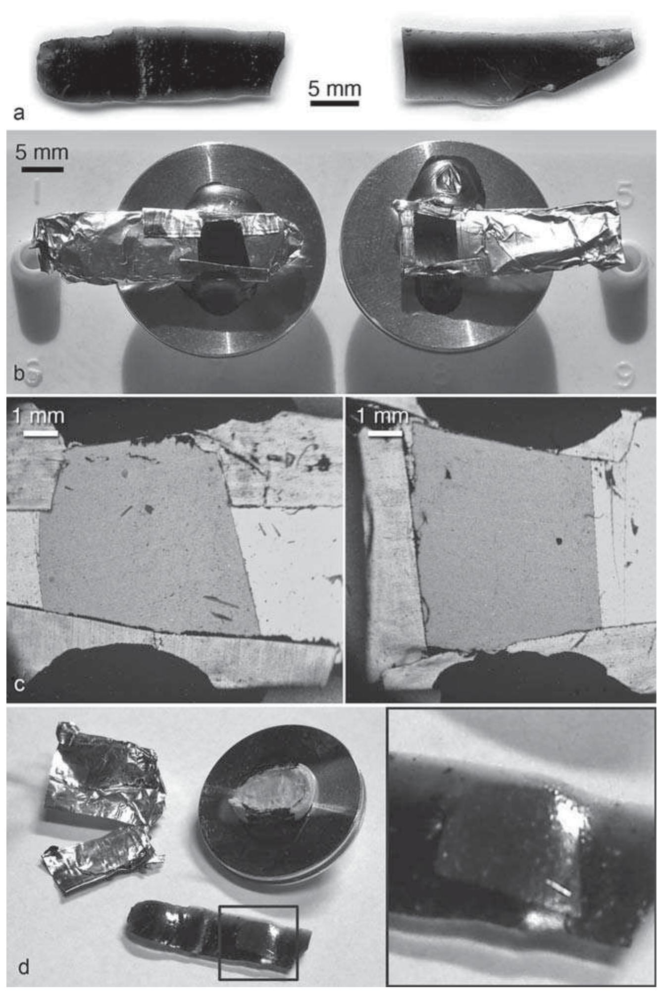 a, photograph of the two pfo (pfo1 on the left and pfo2 on