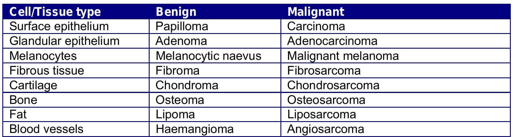 (PDF) 530.304 – General Pathology Lecture Notes