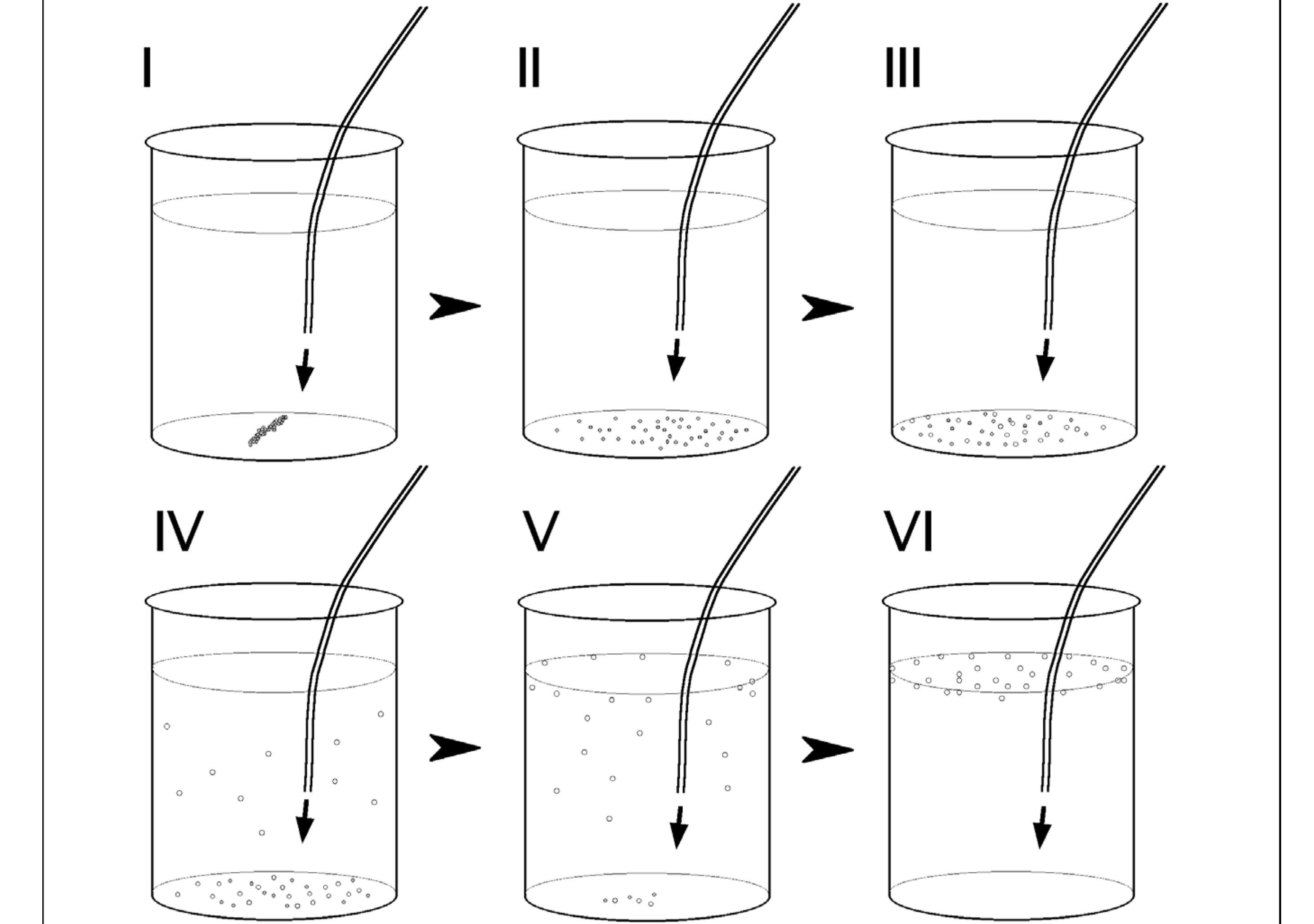 Figure 34 - Hybrid Grouper production