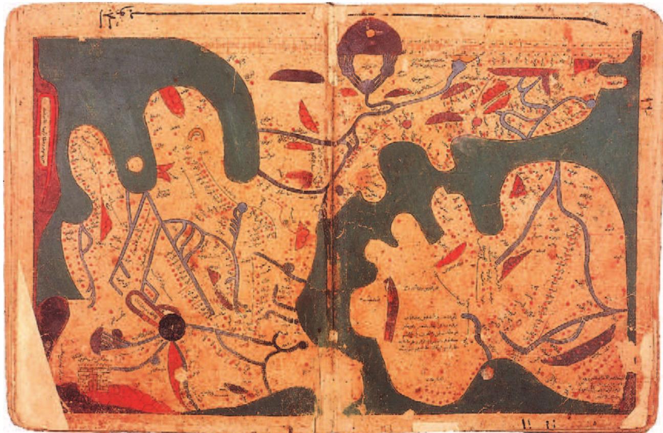 Book of curiosities, rectangular world map, ms oxford,