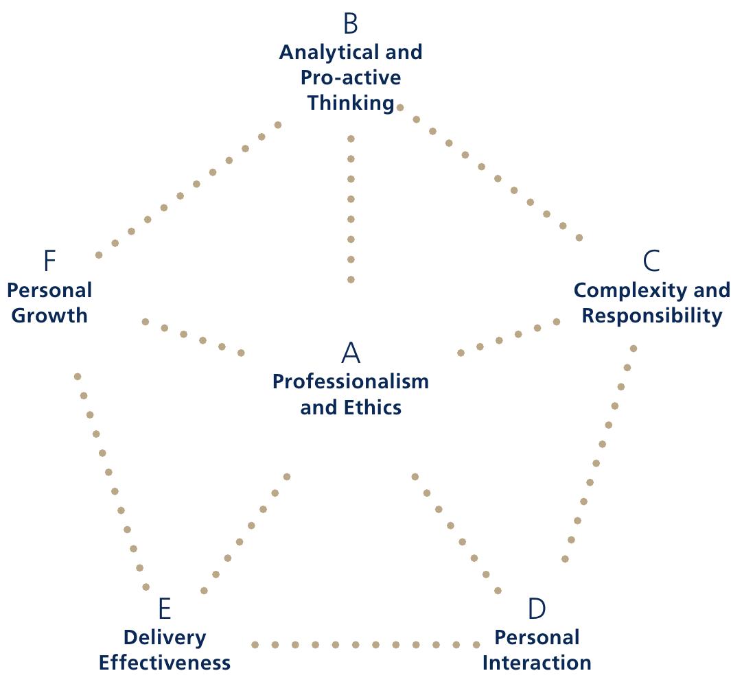 Figure 5 - Management consultancy competence framework